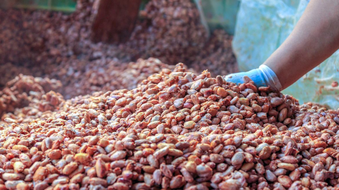 Our Process | Organic Chocolate | House of Chocolate